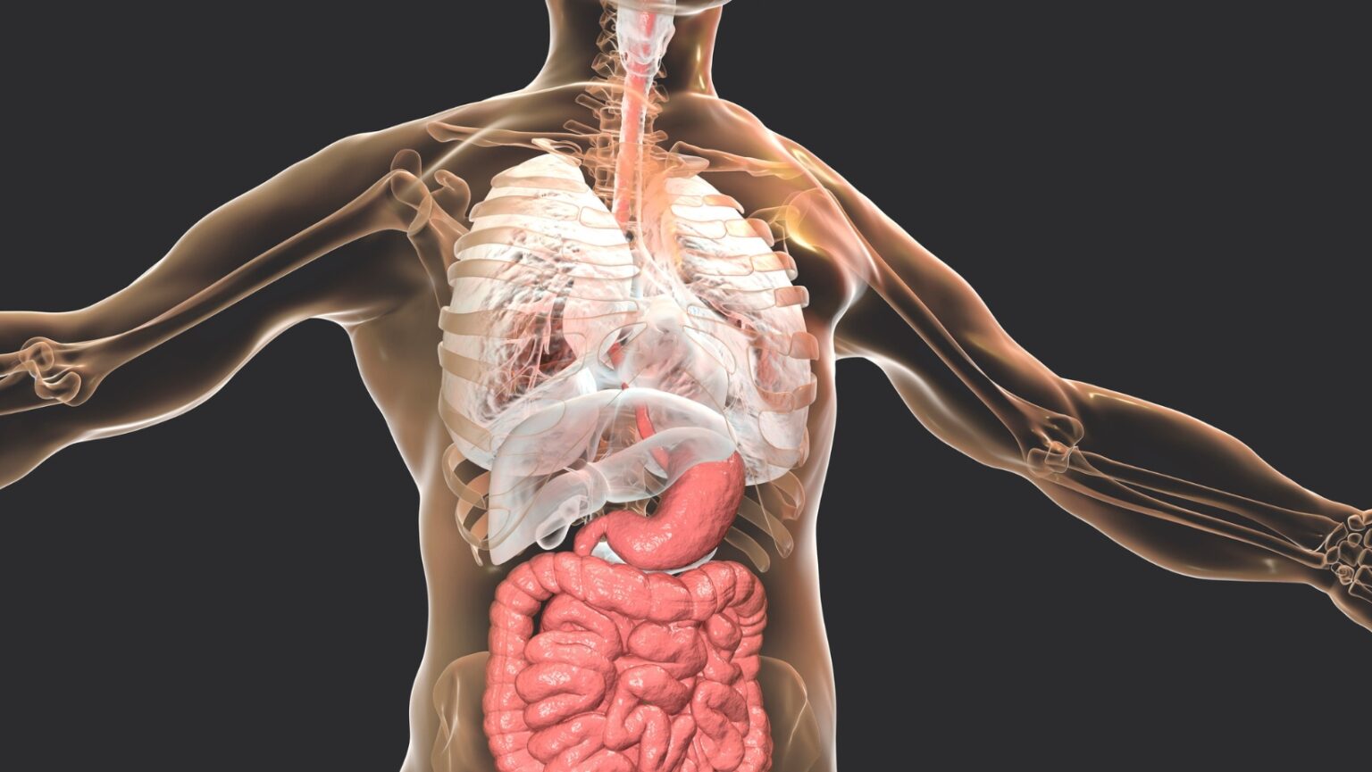 To Protect Vital Organs the Body Compensates in Unbelievable Ways - The ...